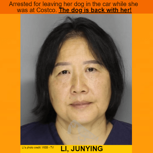 JUNYING LI arrested - Police shattered her car window to save her dog ...