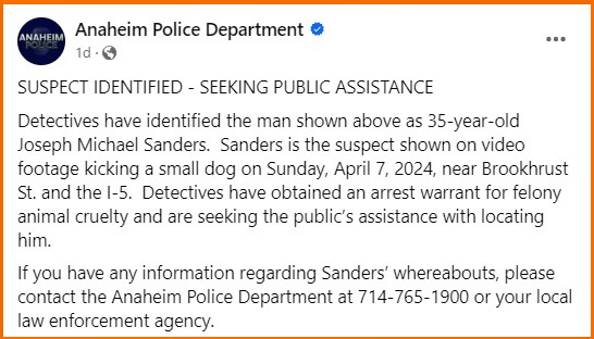 JOSEPH MICHAEL SANDERS arrested - He was caught on video repeatedly ...