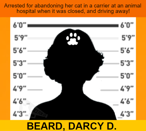 DARCY D. BEARD accused of abandoning her cat in a carrier at an animal ...