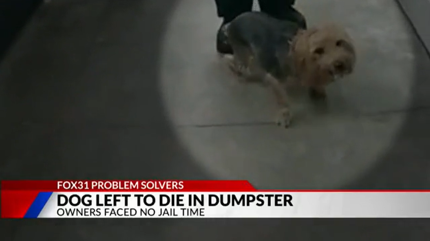 ROBERT and NICKIE BELL left their dog to die in a dumpster but will not ...