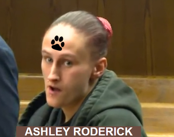 UPDATE: ASHLEY RODERICK pleaded guilty to prohibitions concerning ...