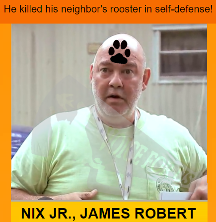 JAMES ROBERT NIX JR. arrested for murdering neighbor’s rooster - Voice ...