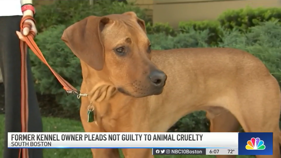TYLER A. FALCONER, firefighter and owner of Falco K9, facing animal ...