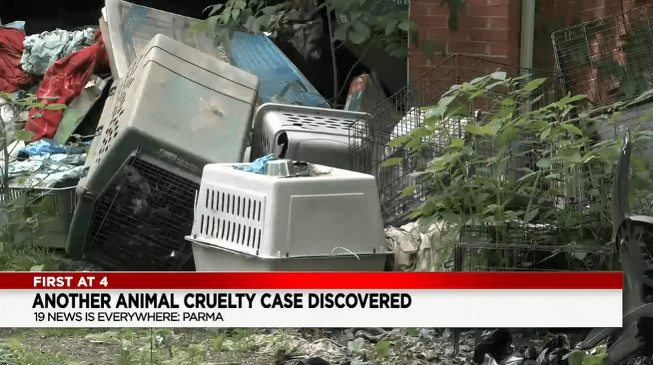 BARBARA A. WIBLE, founder of Canine Lifeline, faces charges - Dead dogs ...
