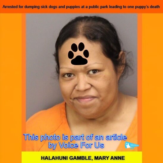 MARY ANNE HALAHUNI GAMBLE and FRED HENRY GAMBLE arrested for dumping ...
