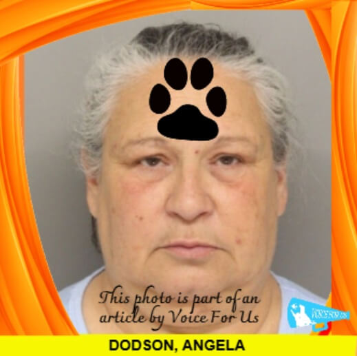 ANGELA DODSON arrested after authorities found dead, mistreated dogs at ...