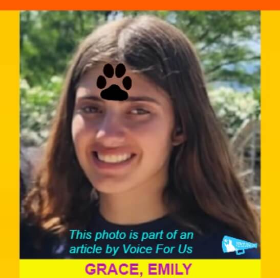 17-year-old EMILY GRACE facing charges for stabbing three horses during ...