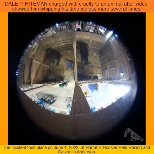 DALE P. HITEMAN, horse trainer, charged with cruelty to an animal ...