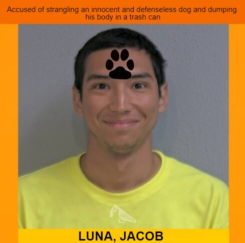 JACOB LUNA accused of strangling a dog and dumping his body in a trash ...