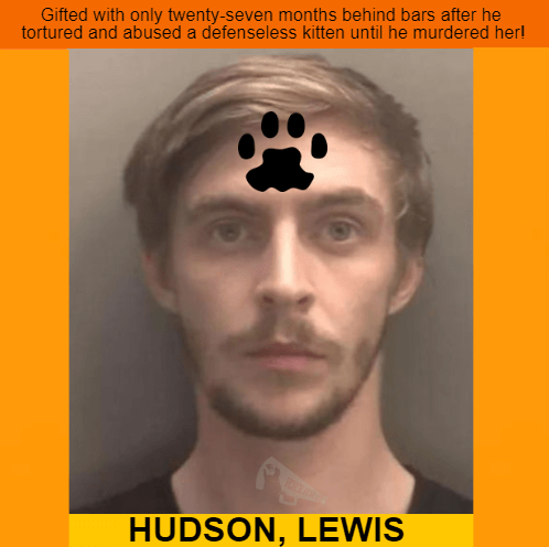 LEWIS HUDSON gifted with only twenty-seven months behind bars for ...