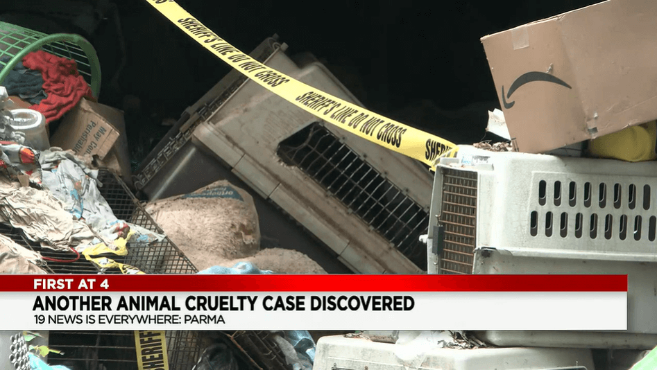 BARBARA A. WIBLE, founder of Canine Lifeline, faces charges - Dead dogs ...