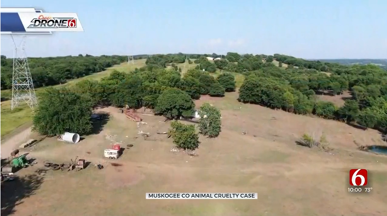 LINDSEY RAE BRASHEAR and KASEY WAYNE CLAY arrested as part of an animal ...