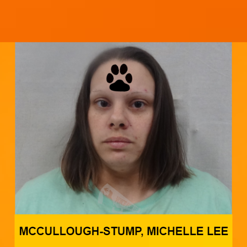 MICHELLE LEE MCCULLOUGH-STUMP and MICHAEL RAY MCCULLOUGH facing eleven ...