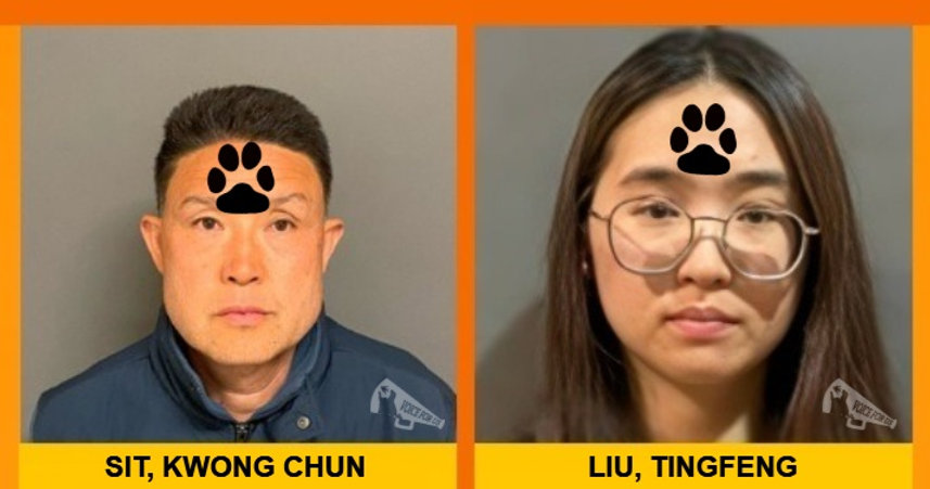 KWONG (TONY) CHUN SIT, dog trainer, and TINGFENG LIU arrested after ...