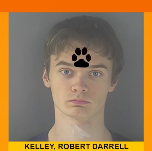 ROBERT DARRELL KELLEY and JACOB CONNER BRADY arrested for shooting a horse - Voice For Us