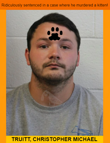 CHRISTOPHER MICHAEL TRUITT ridiculously sentenced in a case where he murdered a kitten - Voice ...