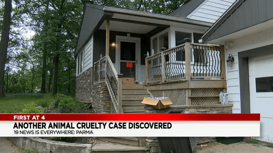 BARBARA A. WIBLE, founder of Canine Lifeline, faces charges - Dead dogs ...