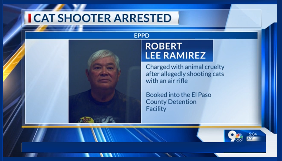 ROBERT LEE RAMIREZ arrested for shooting two cats with an air rifle ...