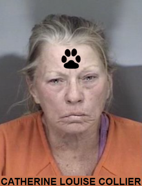 CATHERINE LOUISE COLLIER arrested for neglecting her dog to the extent ...