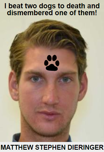 MATTHEW STEPHEN DIERINGER finally in custody after beating two dogs to ...