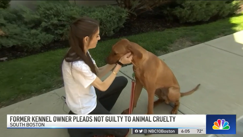 TYLER A. FALCONER, firefighter and owner of Falco K9, facing animal ...
