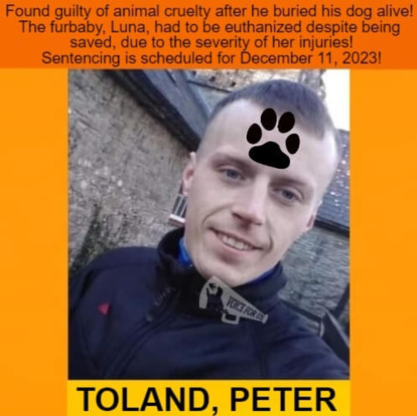 PETER TOLAND found guilty of burying his dog alive – Despite being ...