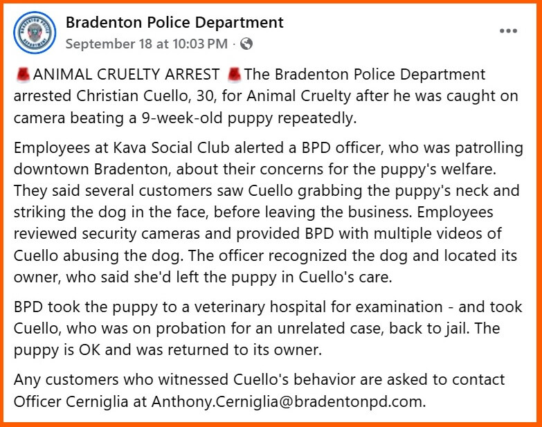 CHRISTIAN CUELLO arrested after he was caught on camera repeatedly ...