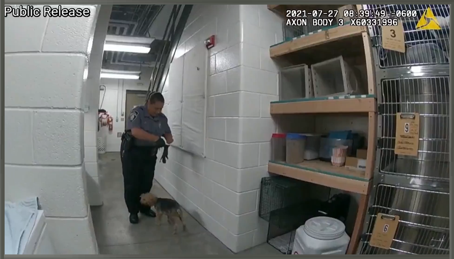 ROBERT and NICKIE BELL left their dog to die in a dumpster but will not ...