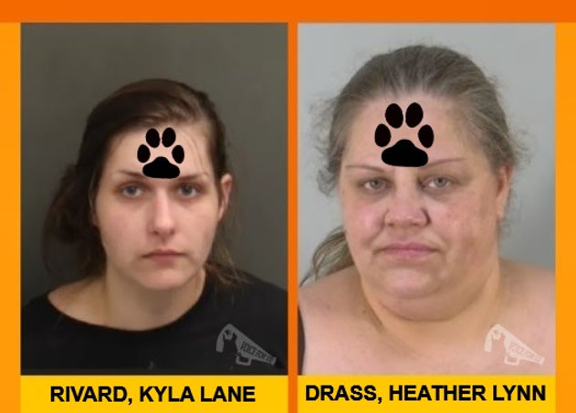 KYLA LANE RIVARD and HEATHER LYNN DRASS arrested–1 dead dog and over 30 ...