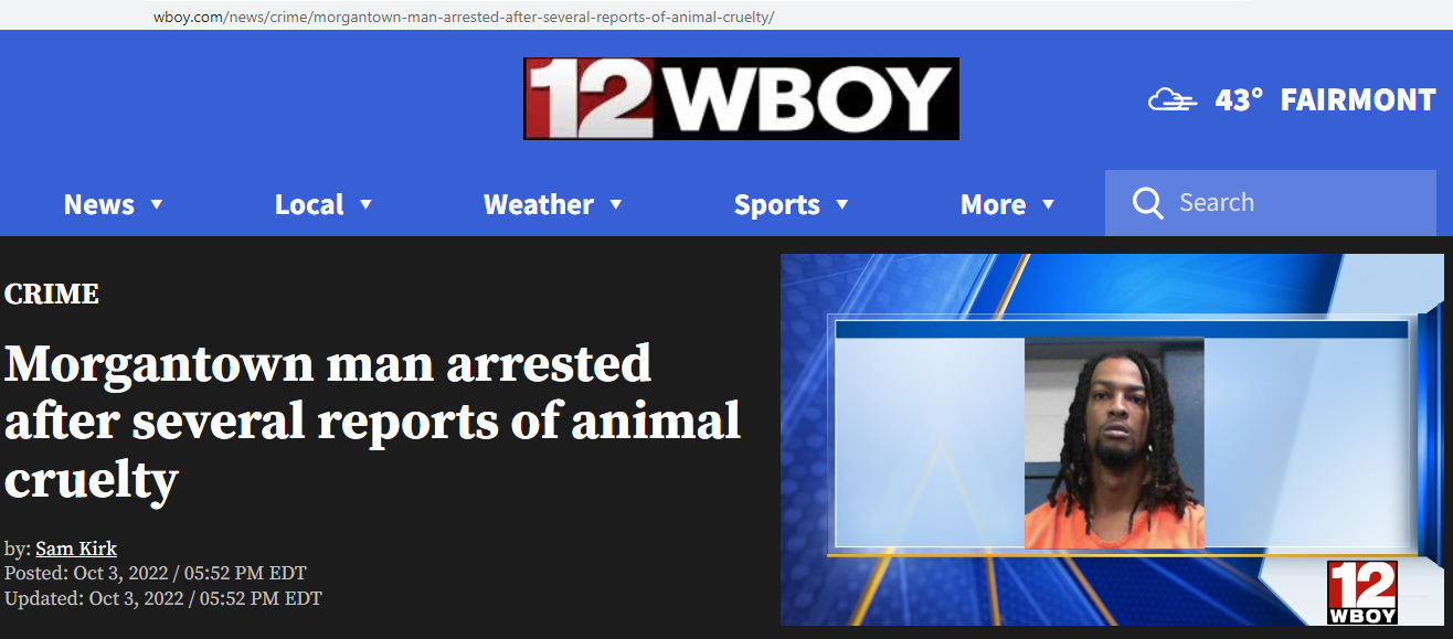 MYKEL JACKSON arrested after multiple reports accused him of hitting ...