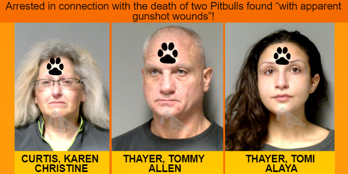 TOMI ALAYA THAYER, TOMMY ALLEN THAYER and KAREN CHRISTINE CURTIS ...