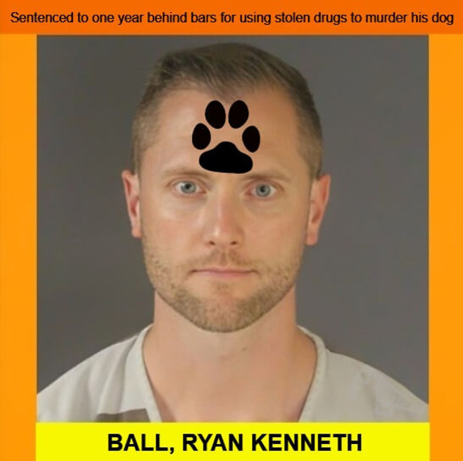 RYAN KENNETH BALL, licensed pharmacist, sentenced to one year behind ...