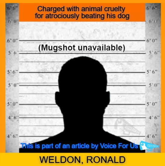 RONALD WELDON charged with animal cruelty for atrociously beating his ...