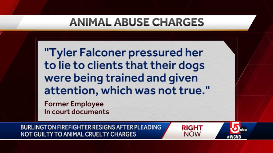 TYLER A. FALCONER, firefighter and owner of Falco K9, facing animal ...