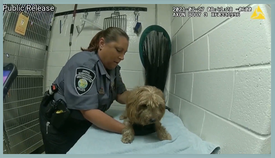 ROBERT and NICKIE BELL left their dog to die in a dumpster but will not ...