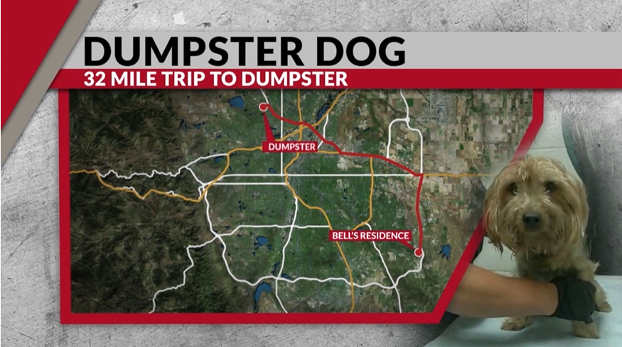 ROBERT and NICKIE BELL left their dog to die in a dumpster but will not ...