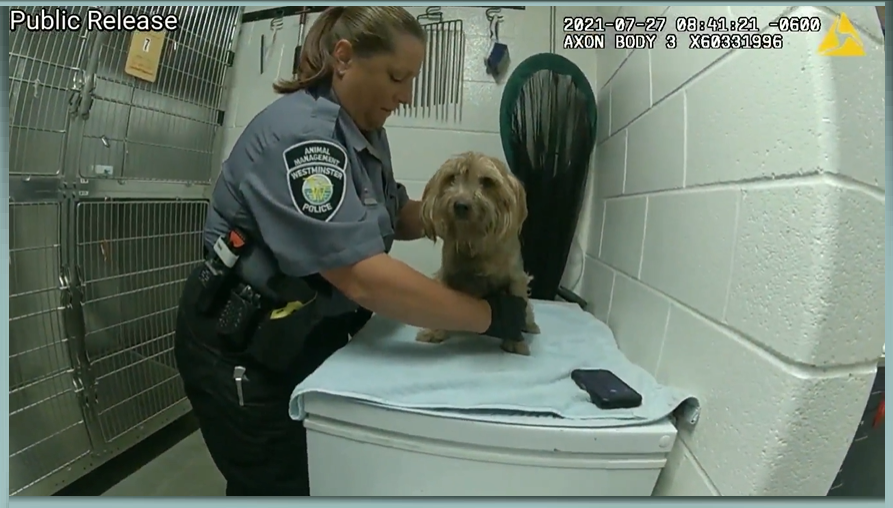 ROBERT and NICKIE BELL left their dog to die in a dumpster but will not ...