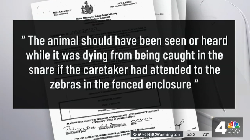 JERRY LEE HOLLY charged with animal cruelty after three of his zebras escaped from his farm ...