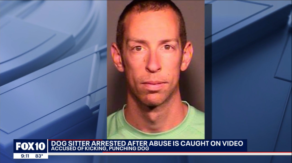 JOHN WAYMAN arrested after being caught on video punching and kicking ...