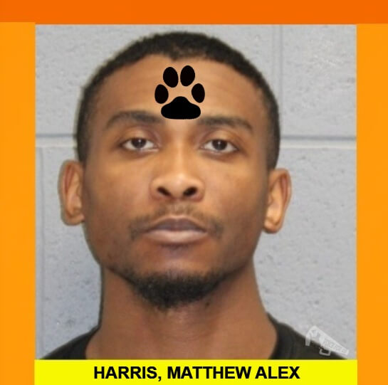 MATTHEW ALEX HARRIS arrested after seven neglected dogs were removed ...