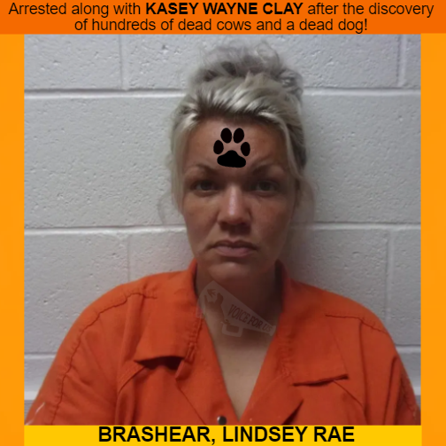 LINDSEY RAE BRASHEAR and KASEY WAYNE CLAY arrested as part of an animal ...