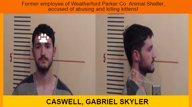 GABRIEL SKYLER CASWELL, ex-employee of a Parker County Animal Shelter ...