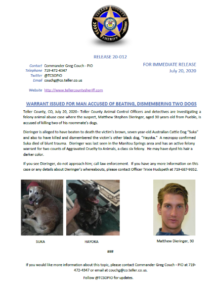 MATTHEW STEPHEN DIERINGER finally in custody after beating two dogs to ...