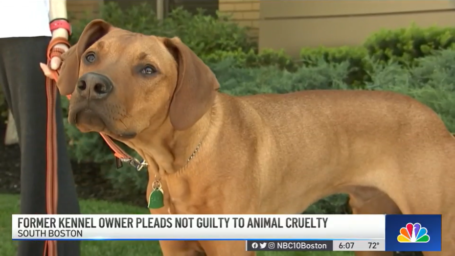 TYLER A. FALCONER, firefighter and owner of Falco K9, facing animal ...