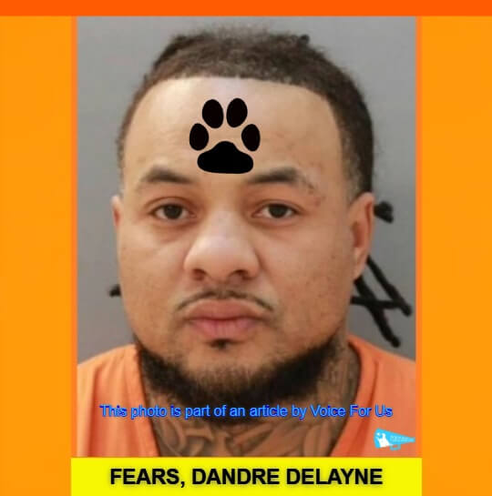 TIANA RAE BELL and DANDRE DELAYNE FEARS arrested after eighteen ...