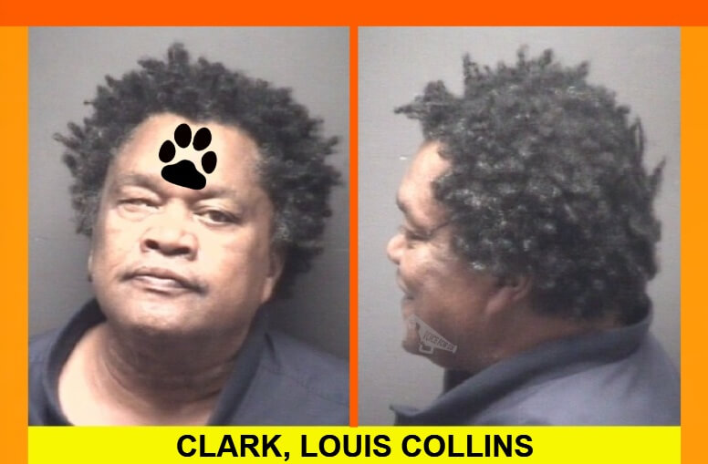 LOUIS COLLINS CLARK arrested for abandoning his dogs - Voice For Us