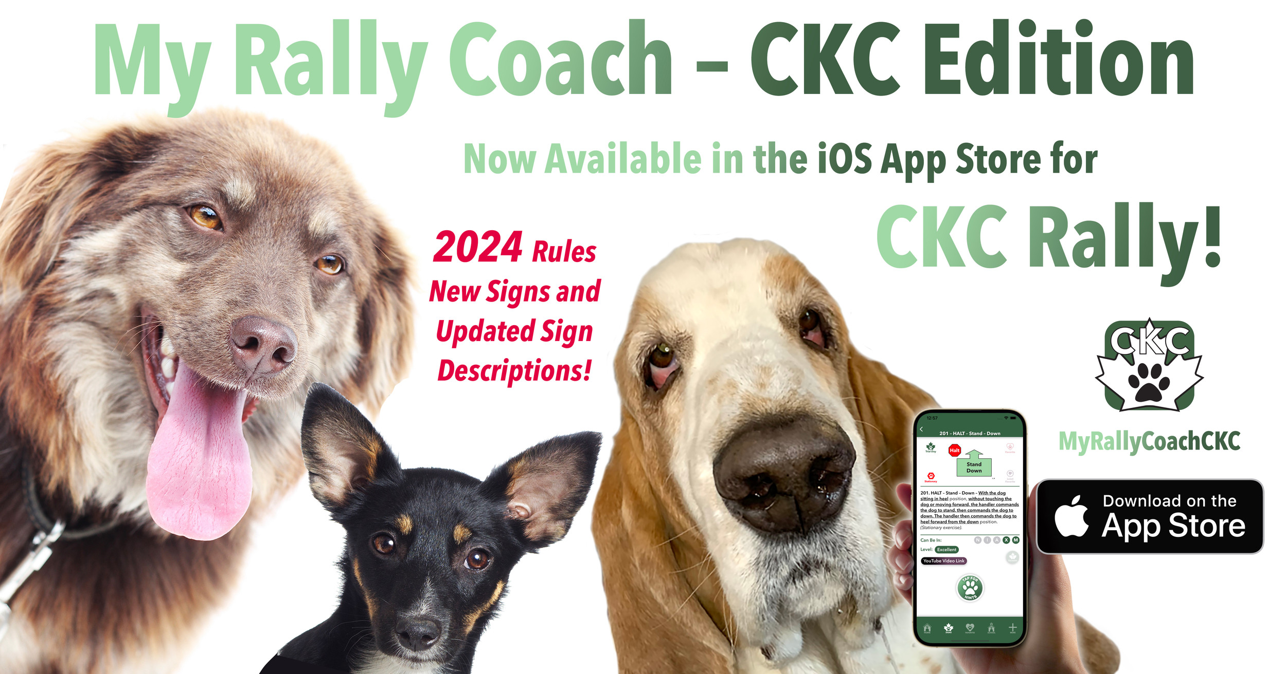 CKC Rally App Features | Rally Coach