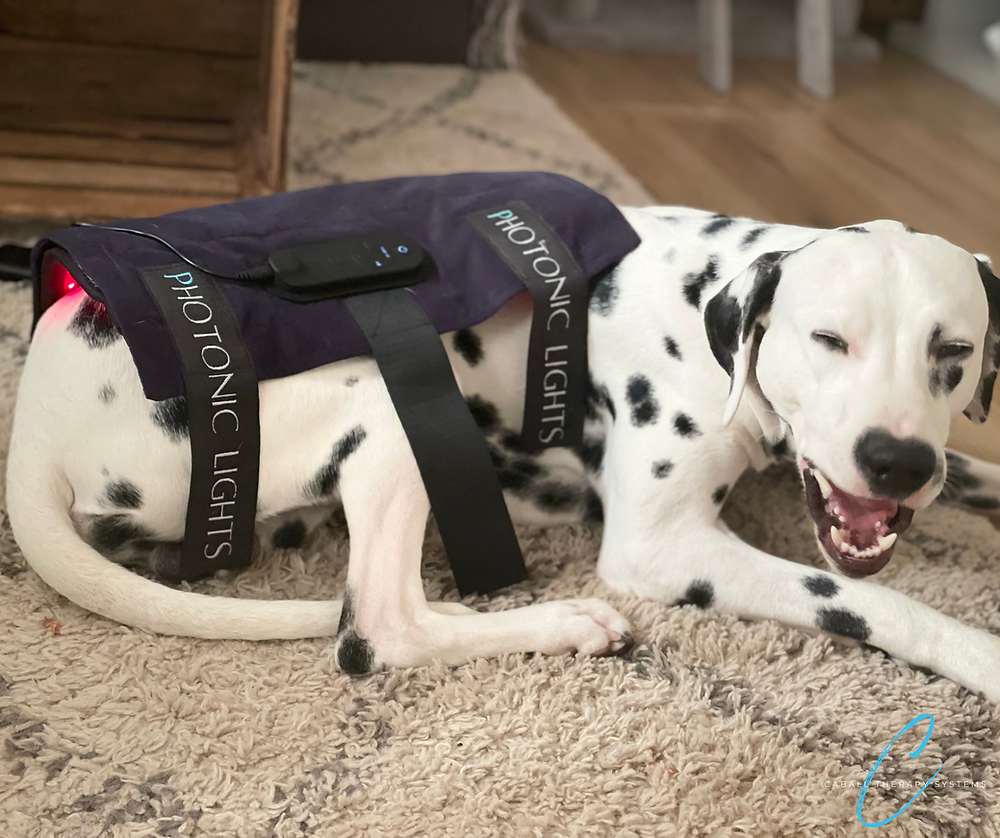 Why should you use Therapeutic Light Therapy?