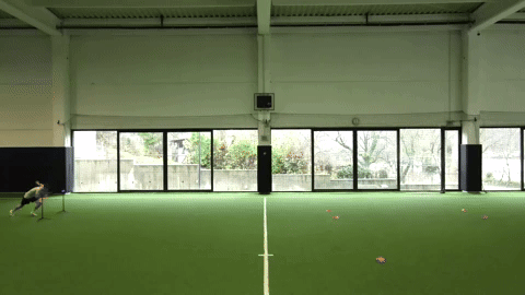 Sportreact as Timing Gates Laser Beam System: Everything you Need to Know