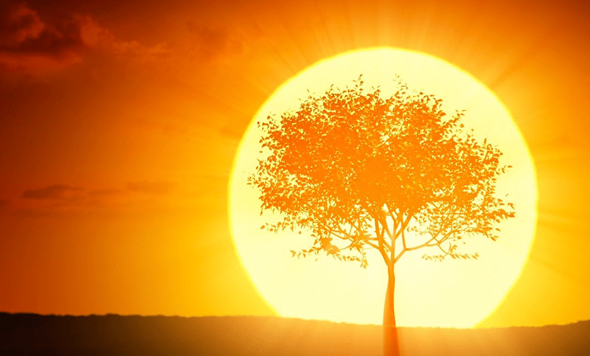 SEVEN KEYS FOR JOYFUL LIVING